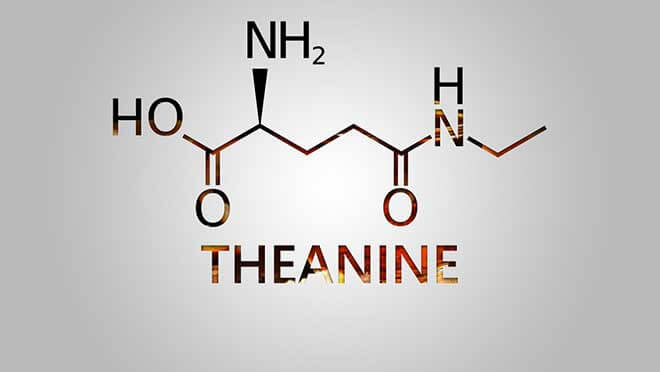 L-Theanine, Health Benefits, What Can It Do For You?
