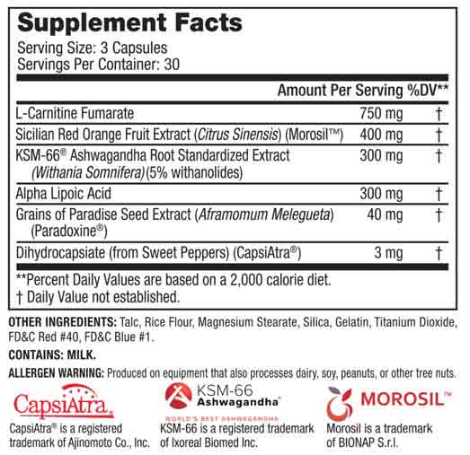 Steel Core Review by Steel Fit USA - Read BEFORE Buying
