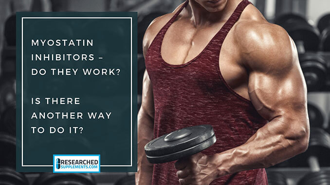 Myostatin Inhibitors - Do They Work? - Is There Another Way to Do It?