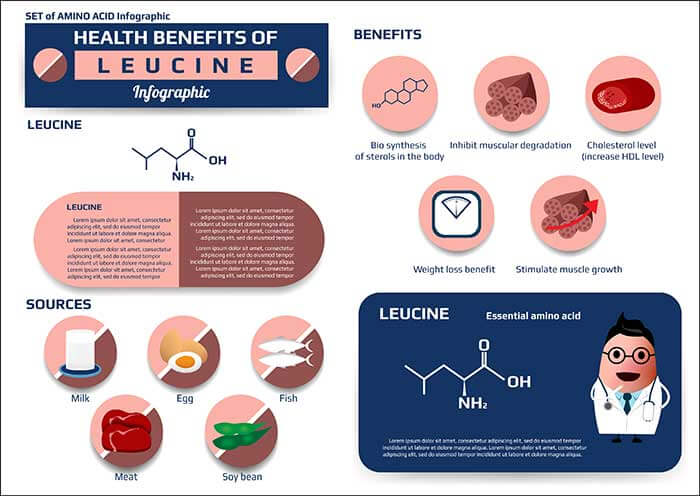 Leucine Benefits for Working Out - BCAA for Buiding Muscle